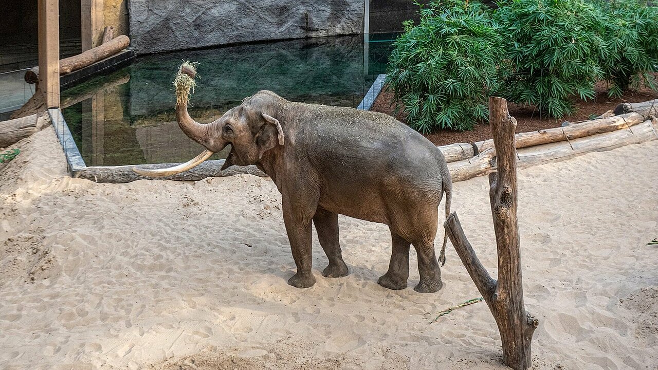 Orientarium ZOO Łódź: Turystyczny Portal Łodzi